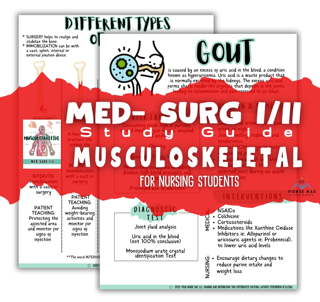 Musculoskeletal Study Guide, Nursing Med Surg I/II, Nursing Bundle ...