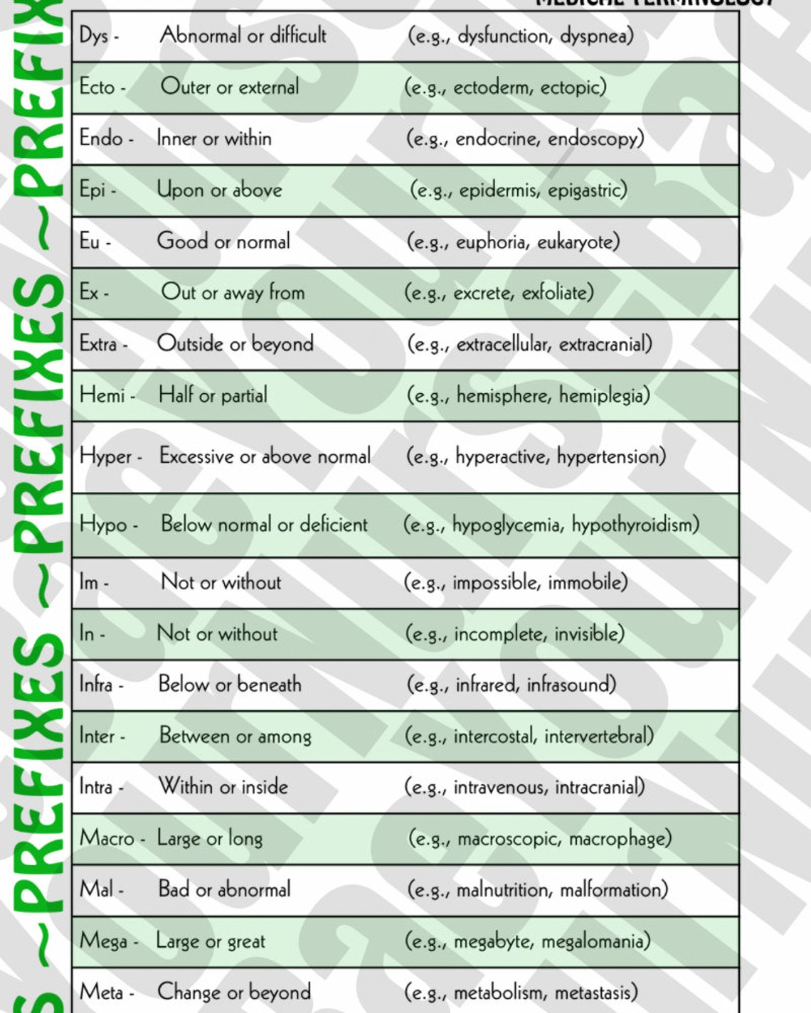 Medical Language for Nursing Students, Nursing Bundle - Etsy