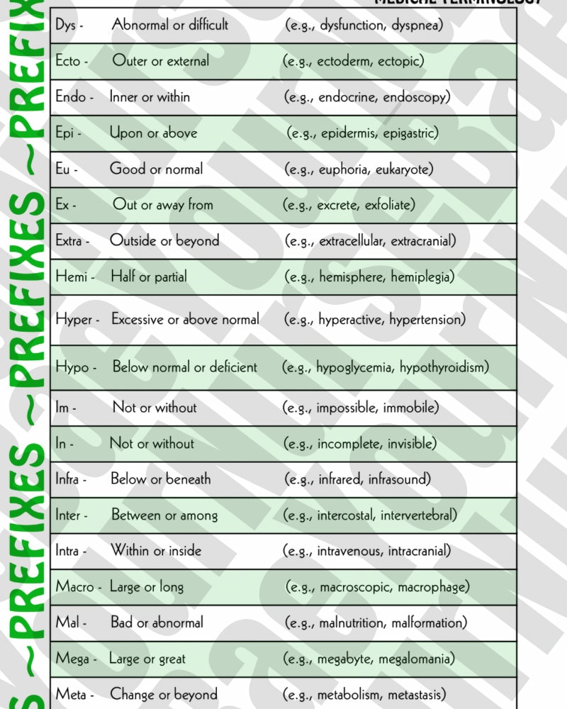 Medical Language for Nursing Students, Nursing Bundle - Etsy