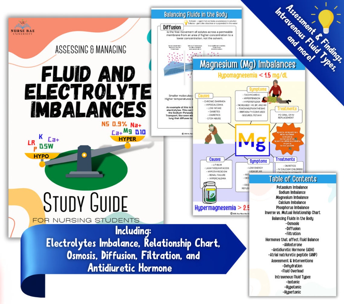 Fluid & Electrolyte Imbalance Nursing Study Guide (PDF) - Etsy