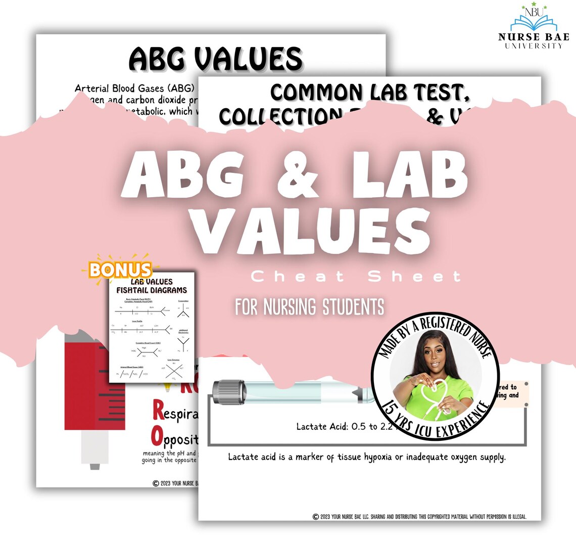 ABG Values and Lab Values - Nursing Study Sheet - Etsy