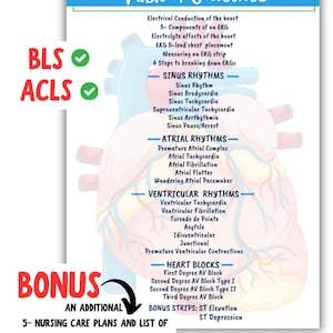 EKG Study Guide: Nursing Students, BLS/ACLS Rhythms, Careplans (45-page ...