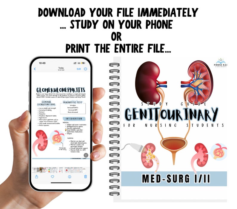 Genitourinary Renal Study Guide: Med-surg I/II Nursing Notes - Etsy