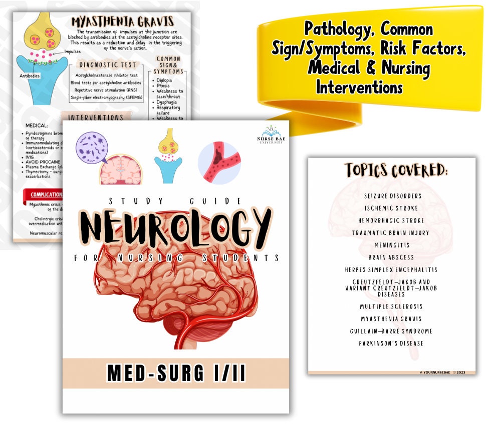 Neuro Study Guide, Nursing Med Surg I/II Neuro Bundle for Nursing ...