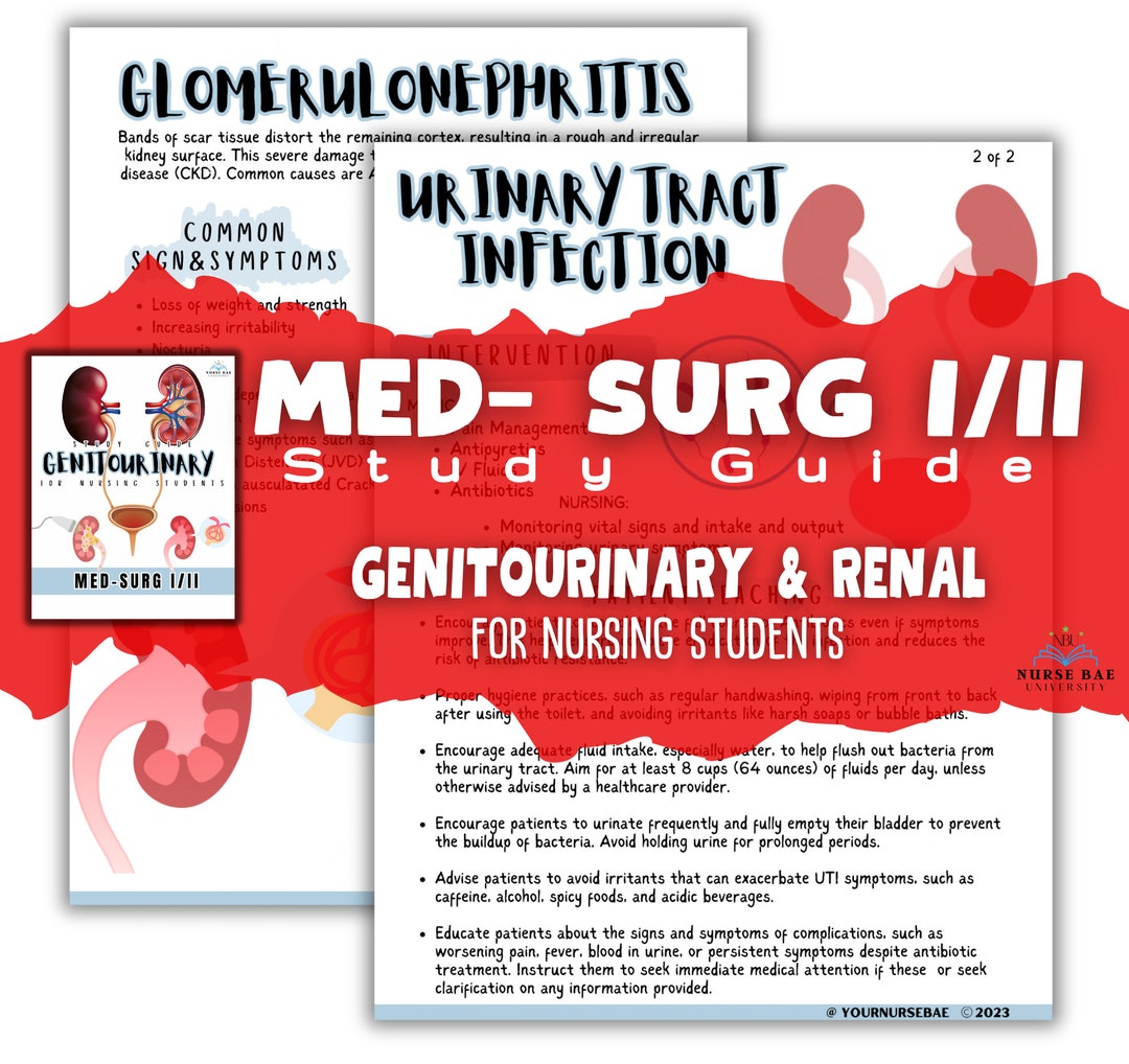 Genitourinary Renal Study Guide: Med-surg I/II Nursing Notes - Etsy