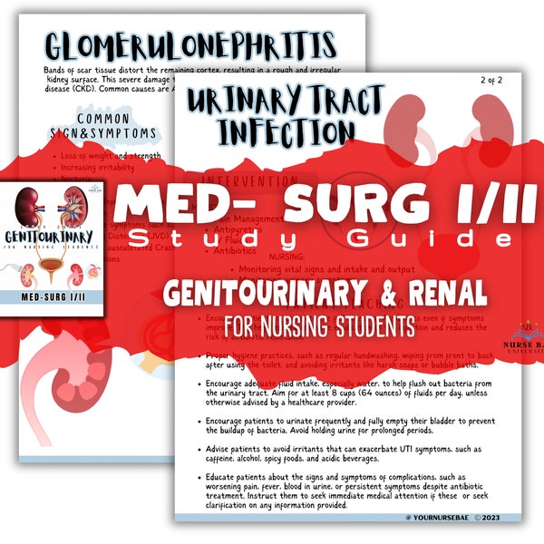 Nursing Study Guides - Etsy