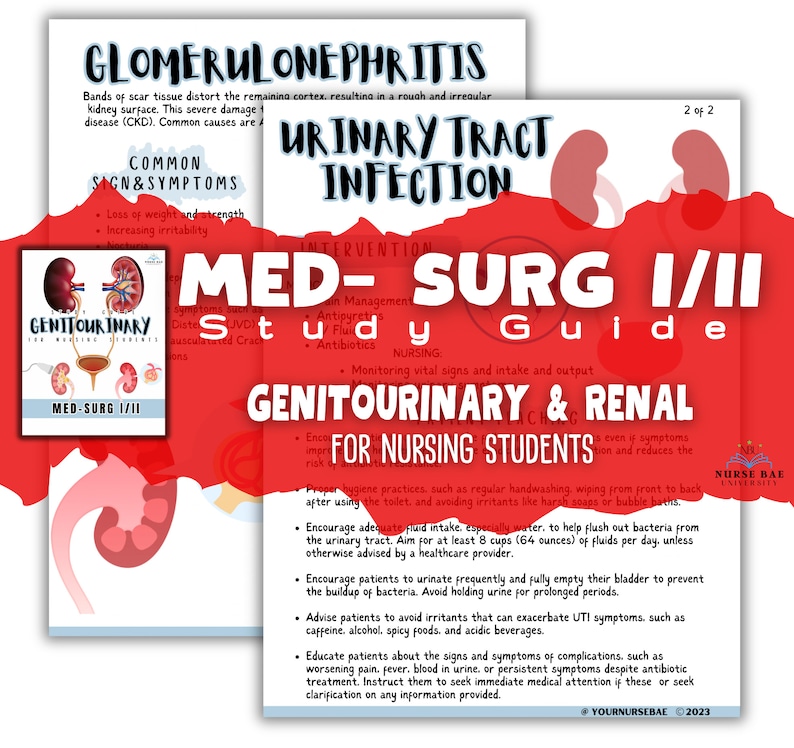 Genitourinary Renal Study Guide: Med-surg I/II Nursing Notes - Etsy