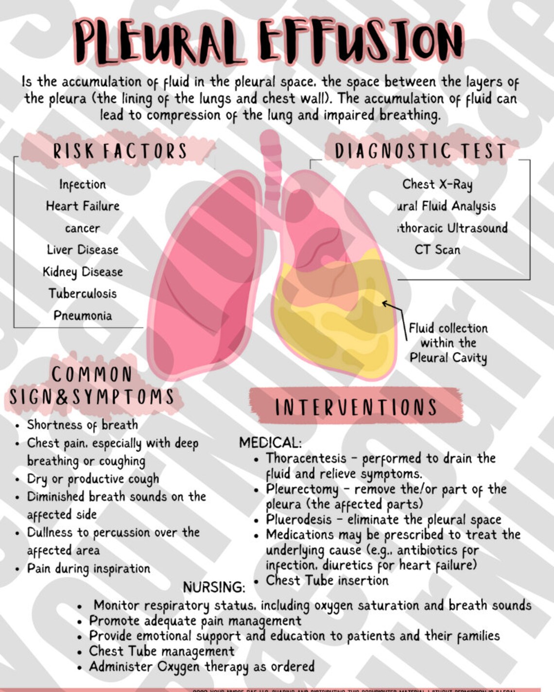 Respiratory Study Guide, Med Surg I/II Respiratory Bundle for Nursing ...