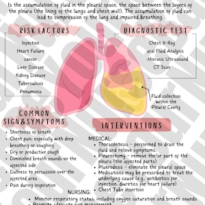 Respiratory Study Guide: Med Surg Nursing Notes - Etsy