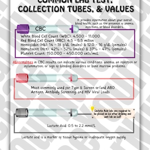 ABG Values and Lab Values - Nursing Study Sheet - Etsy