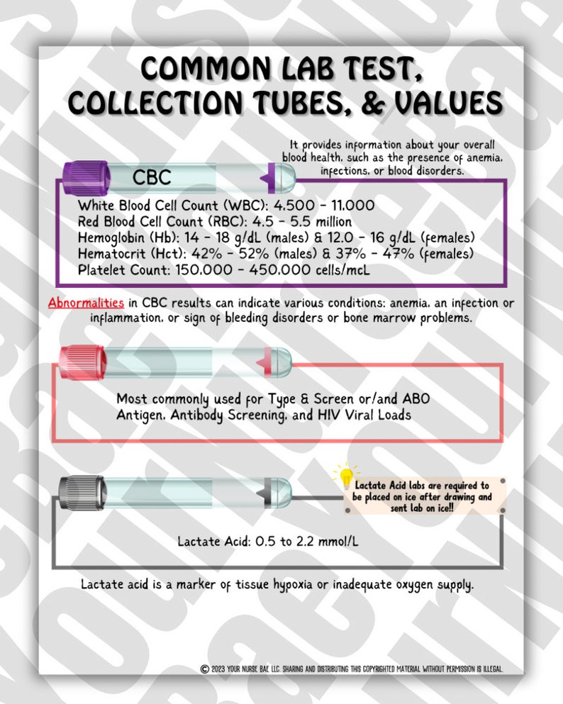 ABG Values and Lab Values - Nursing Study Sheet - Etsy