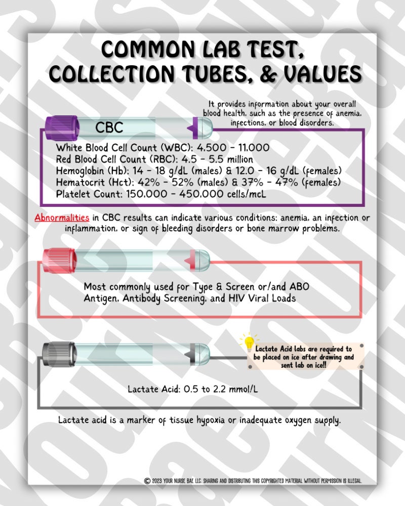 ABG Values and Lab Values - Nursing Study Sheet - Etsy