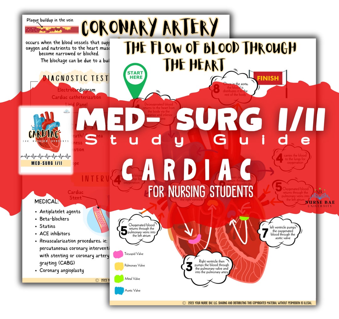 Cardiac Nursing Study Guide: Med Surg I/II Notes (digital Download) - Etsy