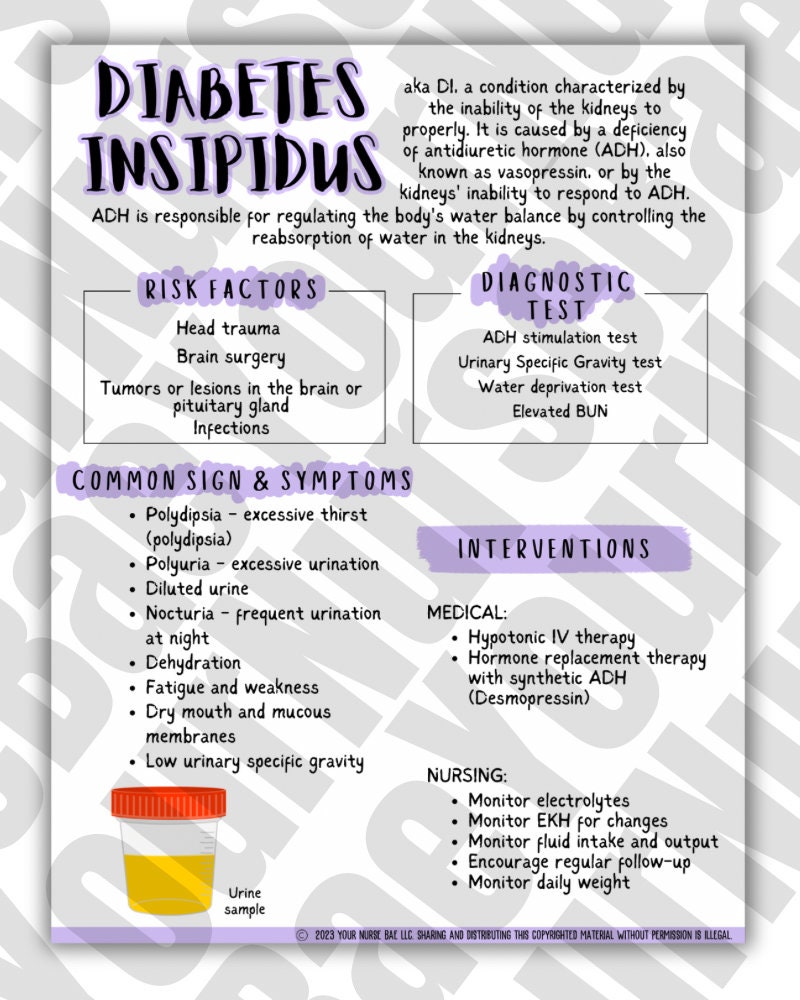 Endocrine Med Surg I/II Study Guide for Nursing Students - Etsy