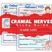 Cranial Nerves Study Guide for Nursing Students - Etsy