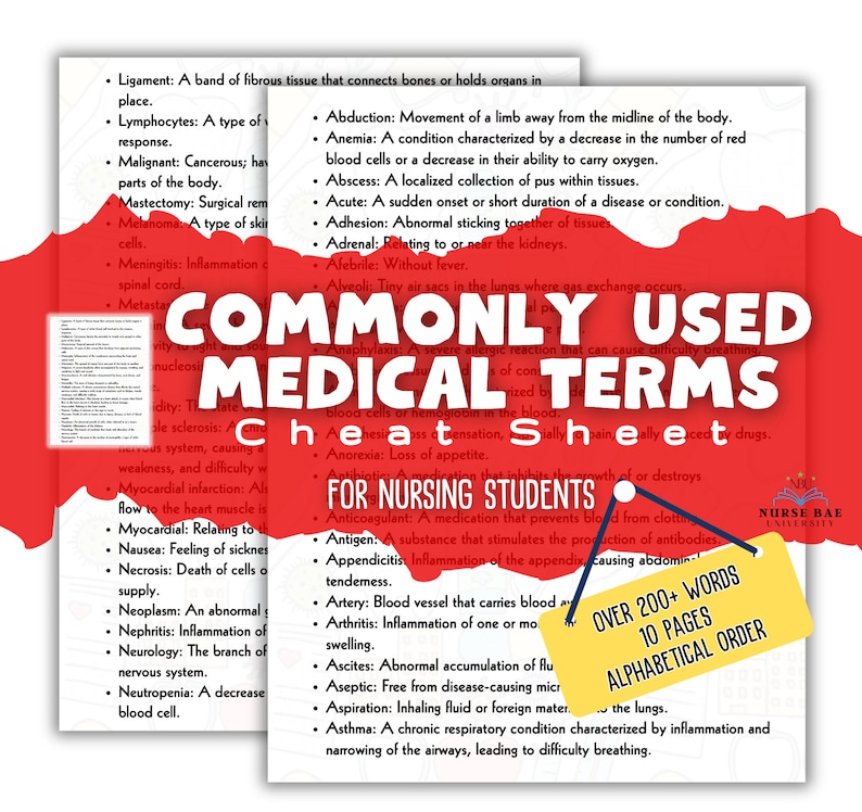 Medical Terminology Study Guide: Nursing Student Notes (digital ...