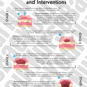 Nursing Fundamentals Study Guide and Nursing Notes - Etsy