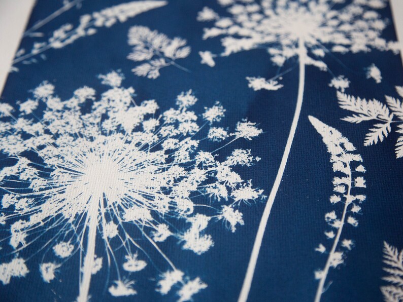 Handmade Cyanotype Print of Wild Flowers and Leaves, Relaxing Botanical ...