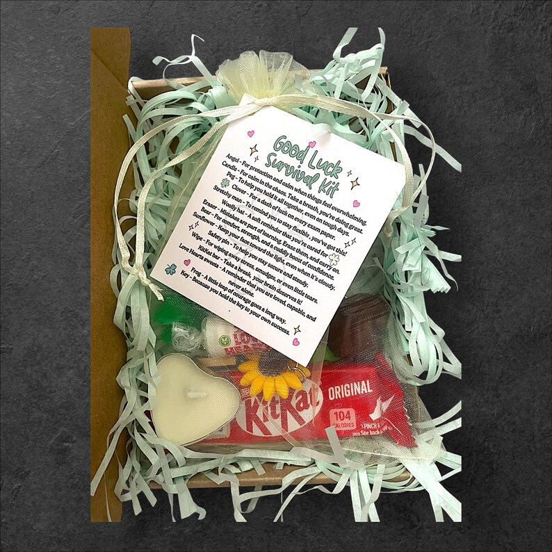 Good Luck Exam Survival Kit Sats GCSE A-level Gift | Student Revision ...
