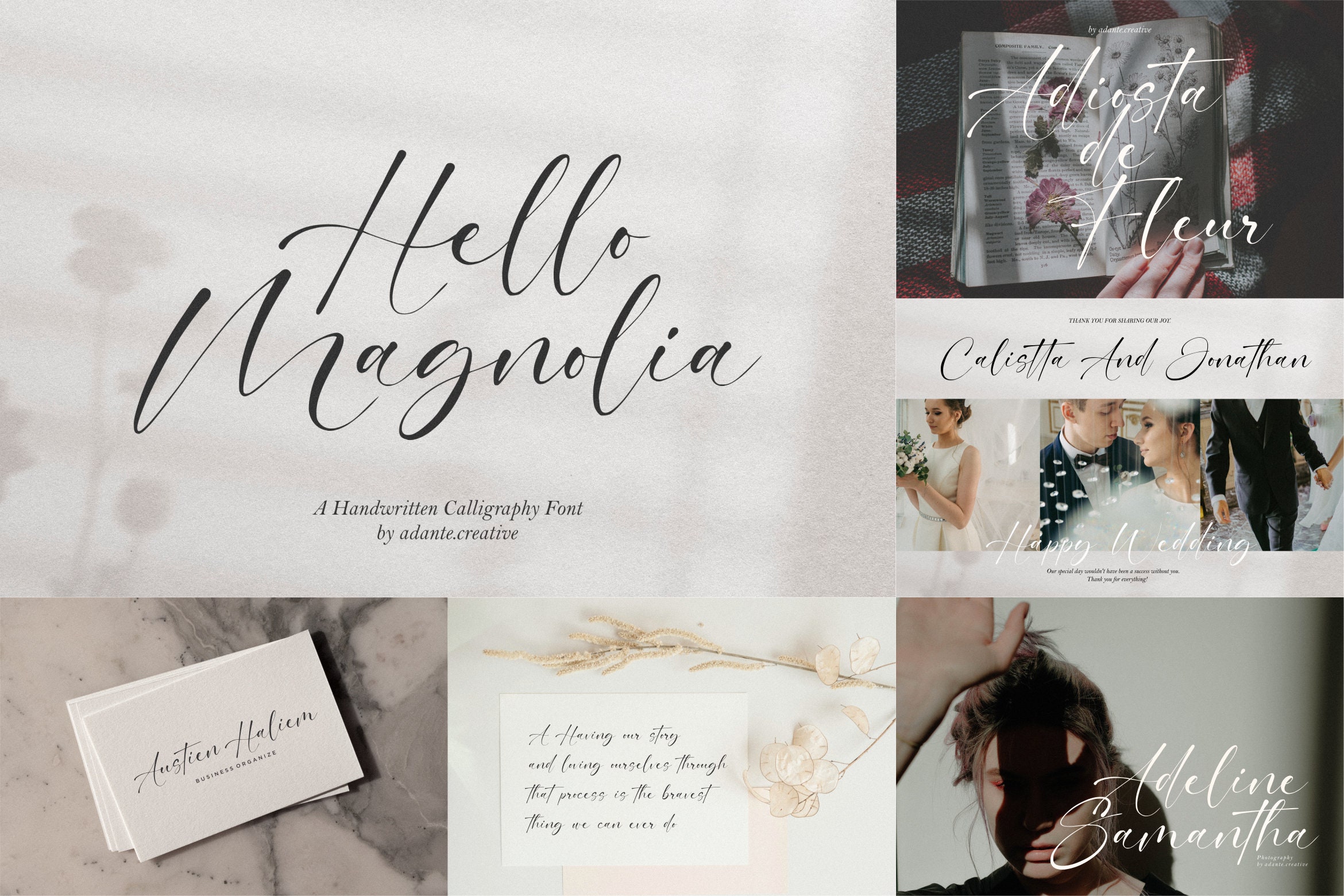 Modern Collections Font Bundle Cricut Fonts Canva Fonts - Etsy