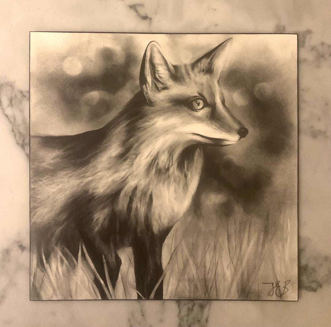 Original Fox Pencil Drawing Graphite Animal Art - Etsy