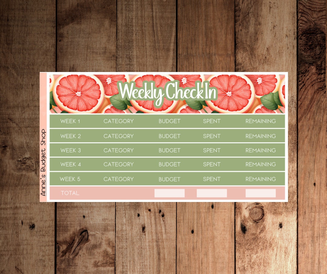 7x9 BK05 March Weekly Check in Budget Planner Sticker Kit, Erin Condren ...