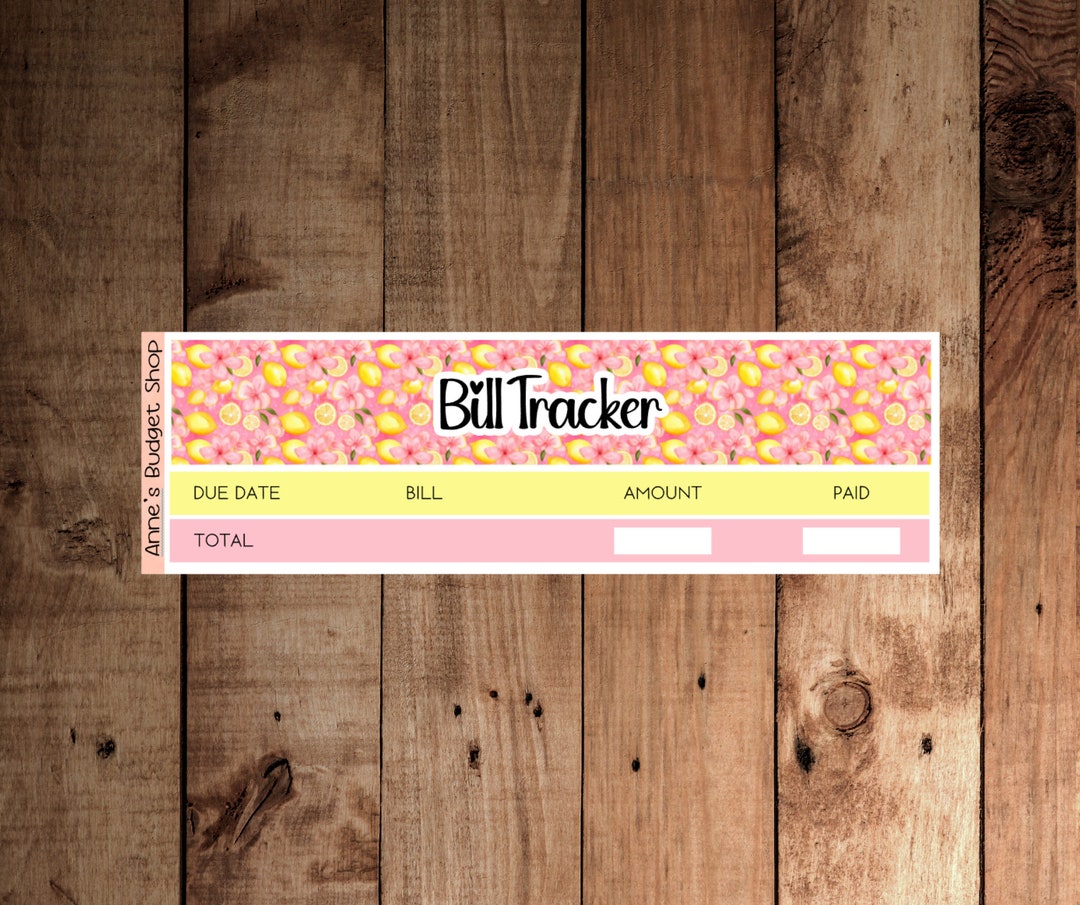 7x9 BK13 June Bill Tracker Budget Planner Sticker Kit, Erin Condren ...