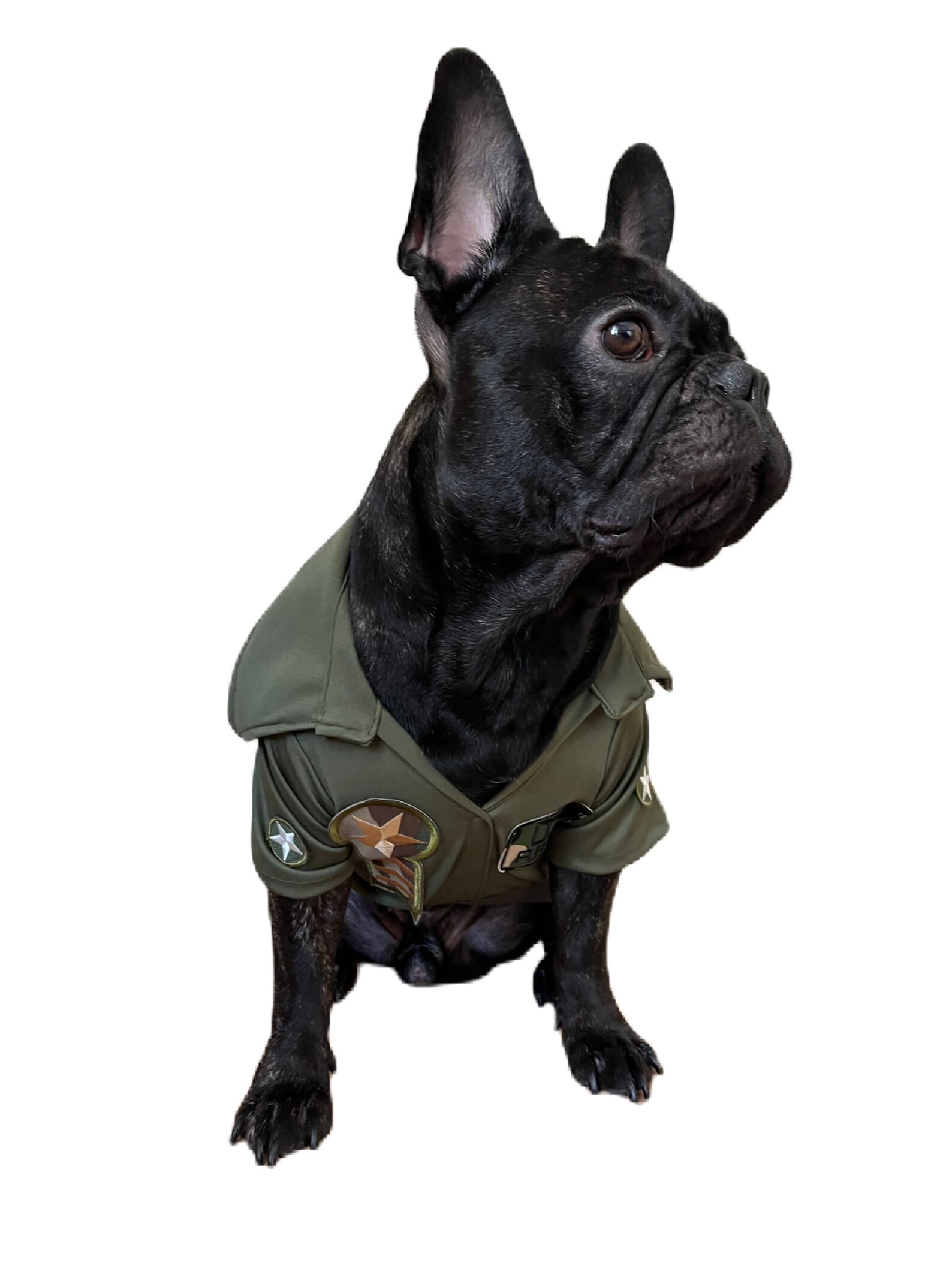 Top Gun Dog,us Army Dog Costume,dog Pilot Costume,military Dog Costume ...
