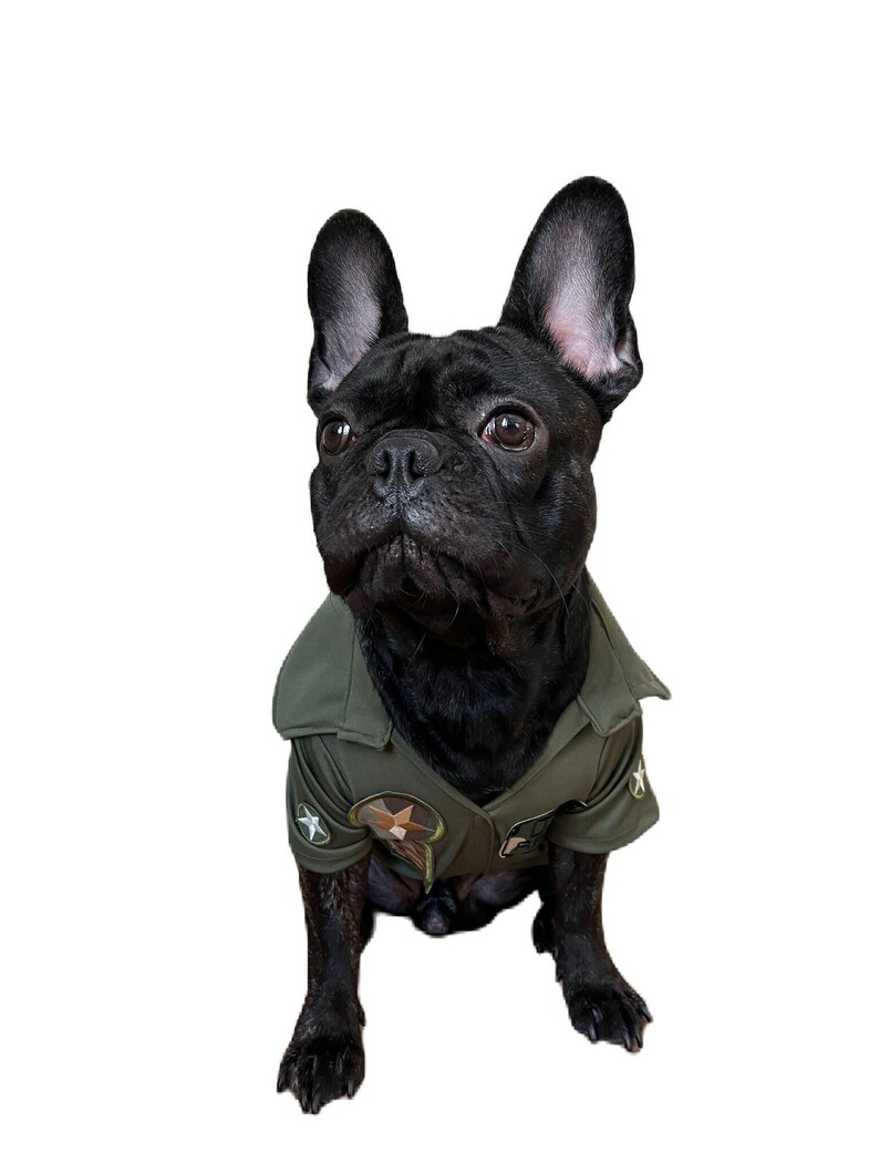 Top Gun Dog,us Army Dog Costume,dog Pilot Costume,military Dog Costume ...