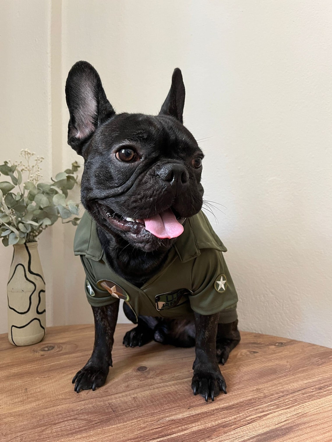 Top Gun Dog,us Army Dog Costume,dog Pilot Costume,military Dog Costume ...