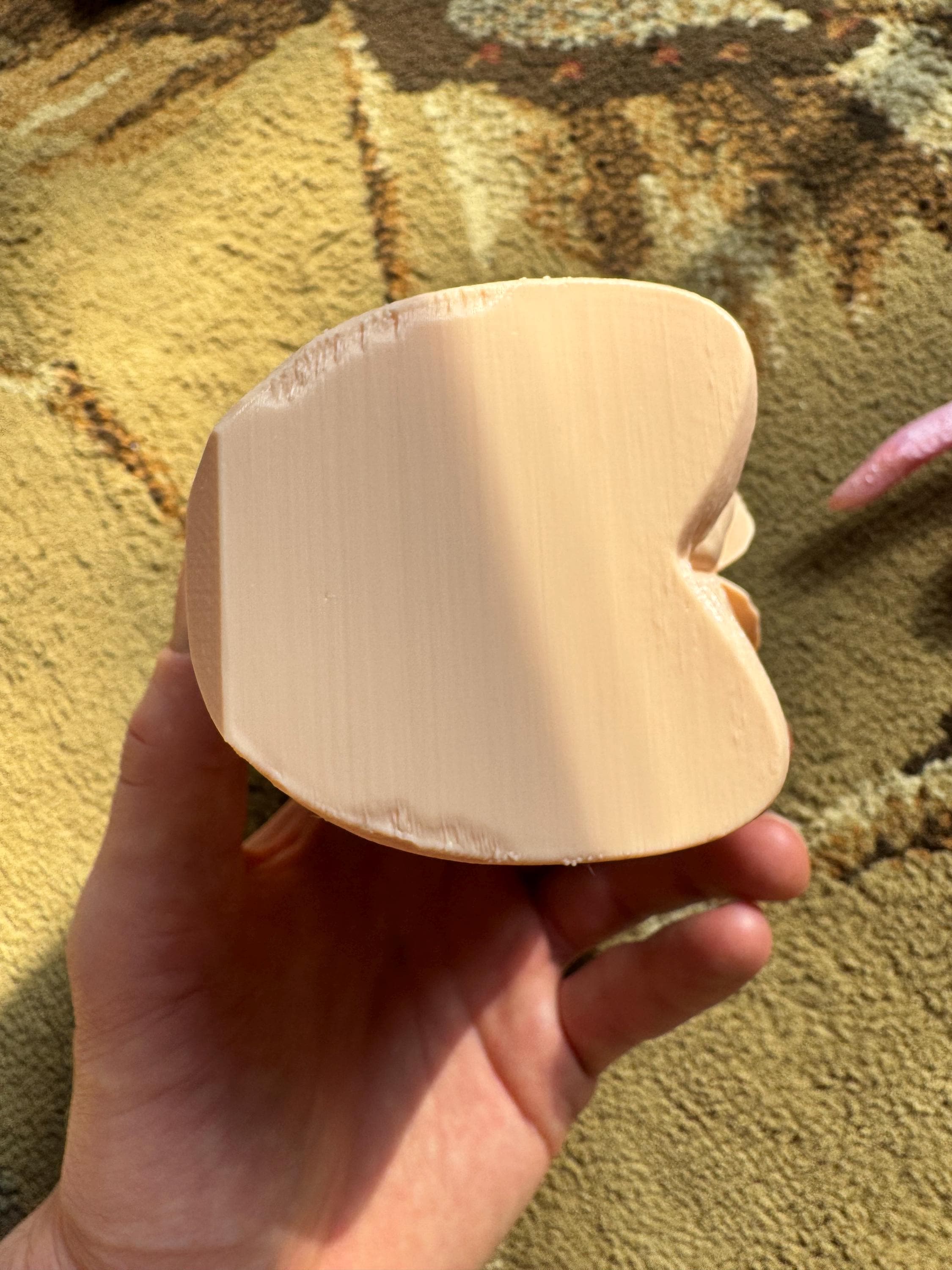 Vagina & Cliterous 3D Printed Model - Etsy