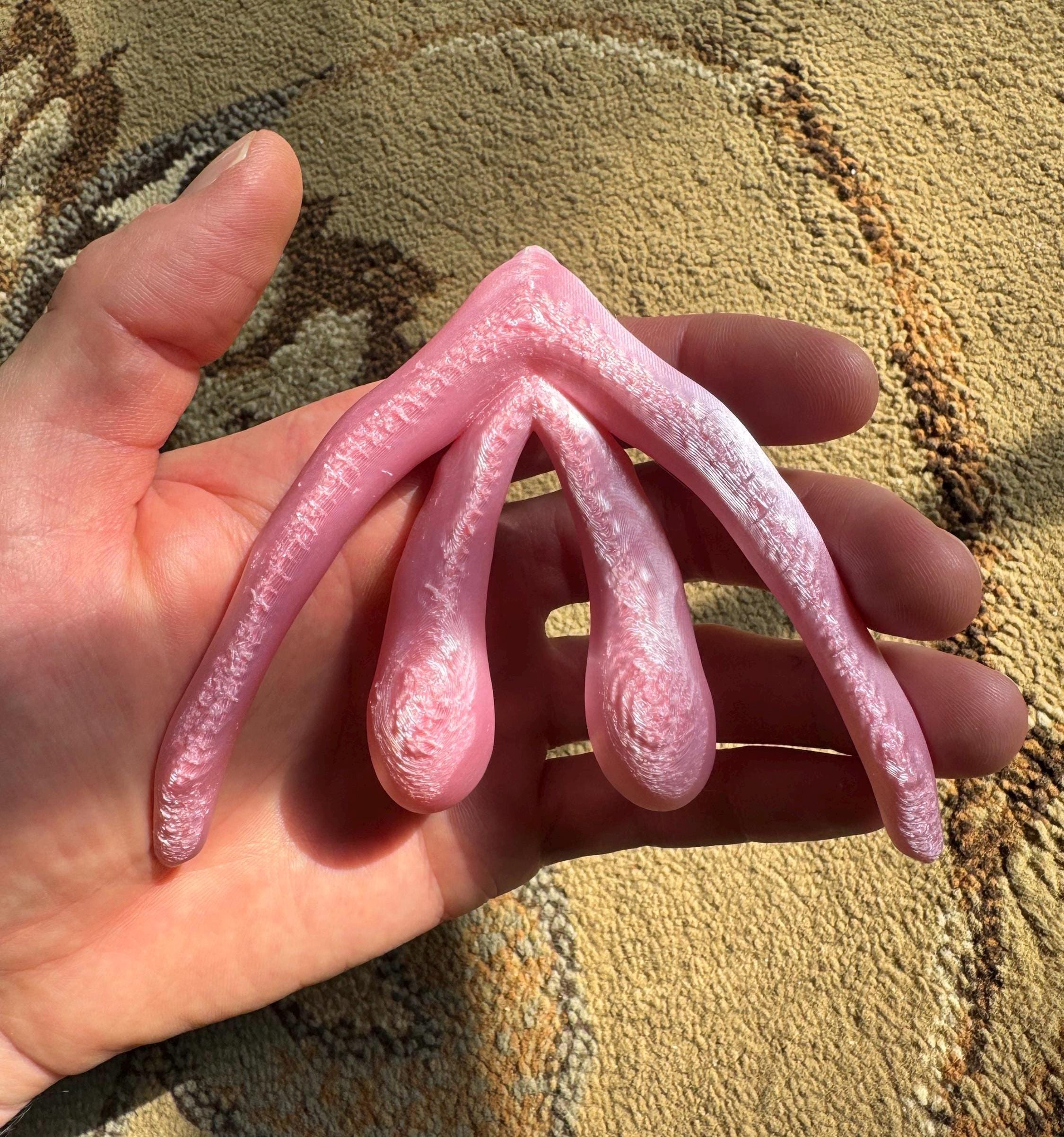 Vagina & Cliterous 3D Printed Model - Etsy