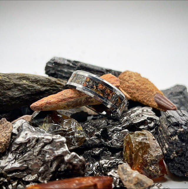 Mens Dinosaur Ring, Dinosaur and Meteorite Ring, Dinosaur Bone Ring ...