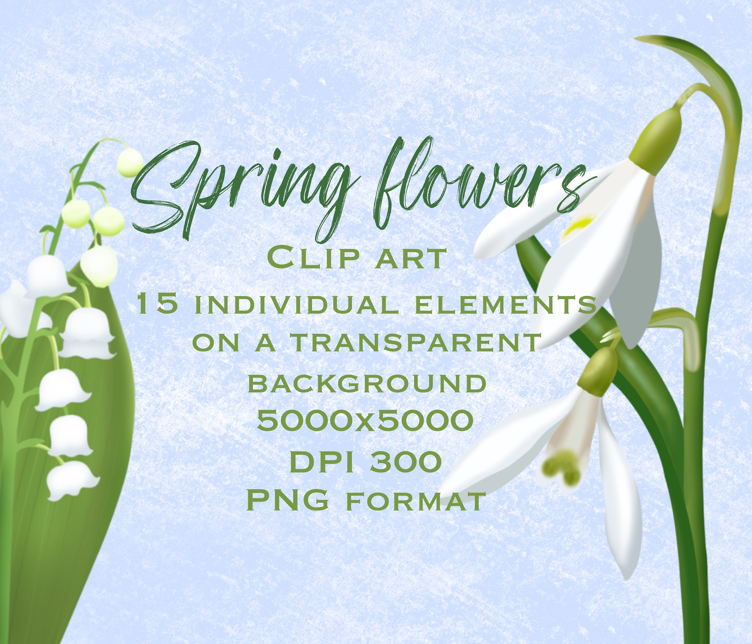 Digital Clipart of White Spring Flowers. Separate PNG Elements for ...