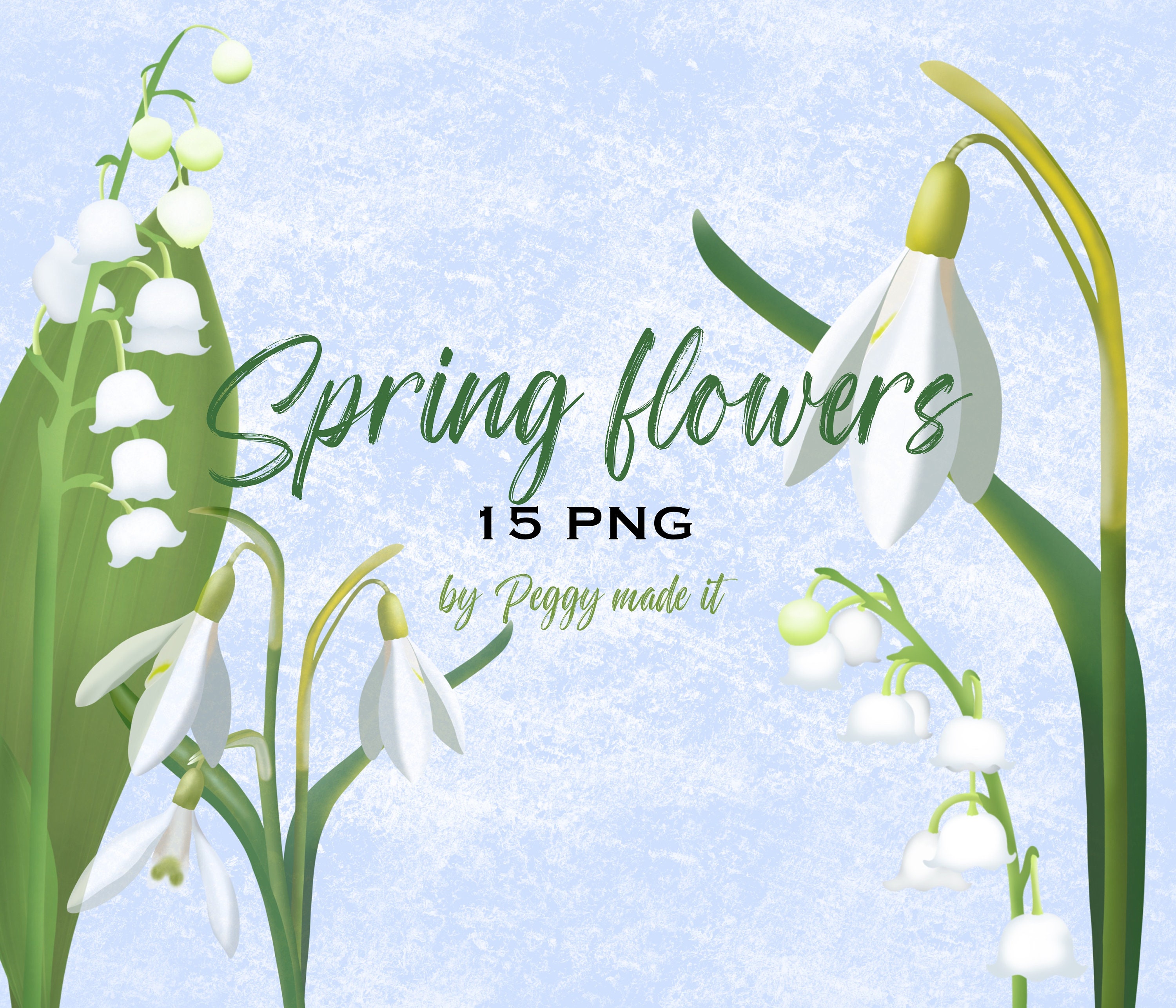Digital Clipart of White Spring Flowers. Separate PNG Elements for ...