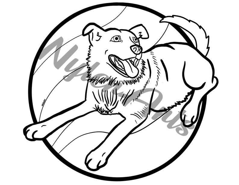 Australian Shepherd Dog Coloring Page - Just Download and Print! - Etsy