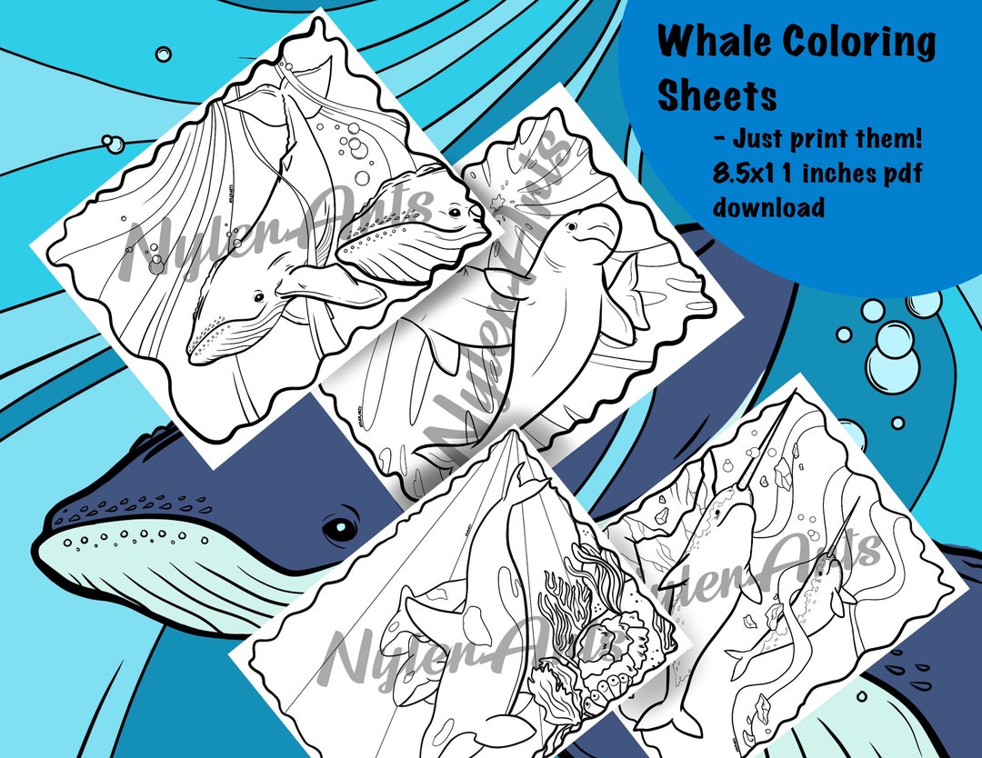 Printable Coloring Pages - Whales 4x (orca, Begula, Narwhal, Humpback ...
