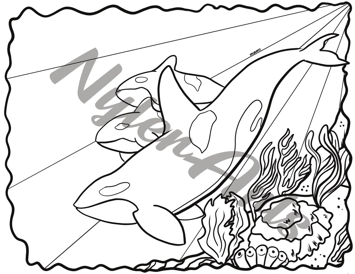 Orca Whale Coloring (colouring) Sheet (page) - Just Download and Print ...