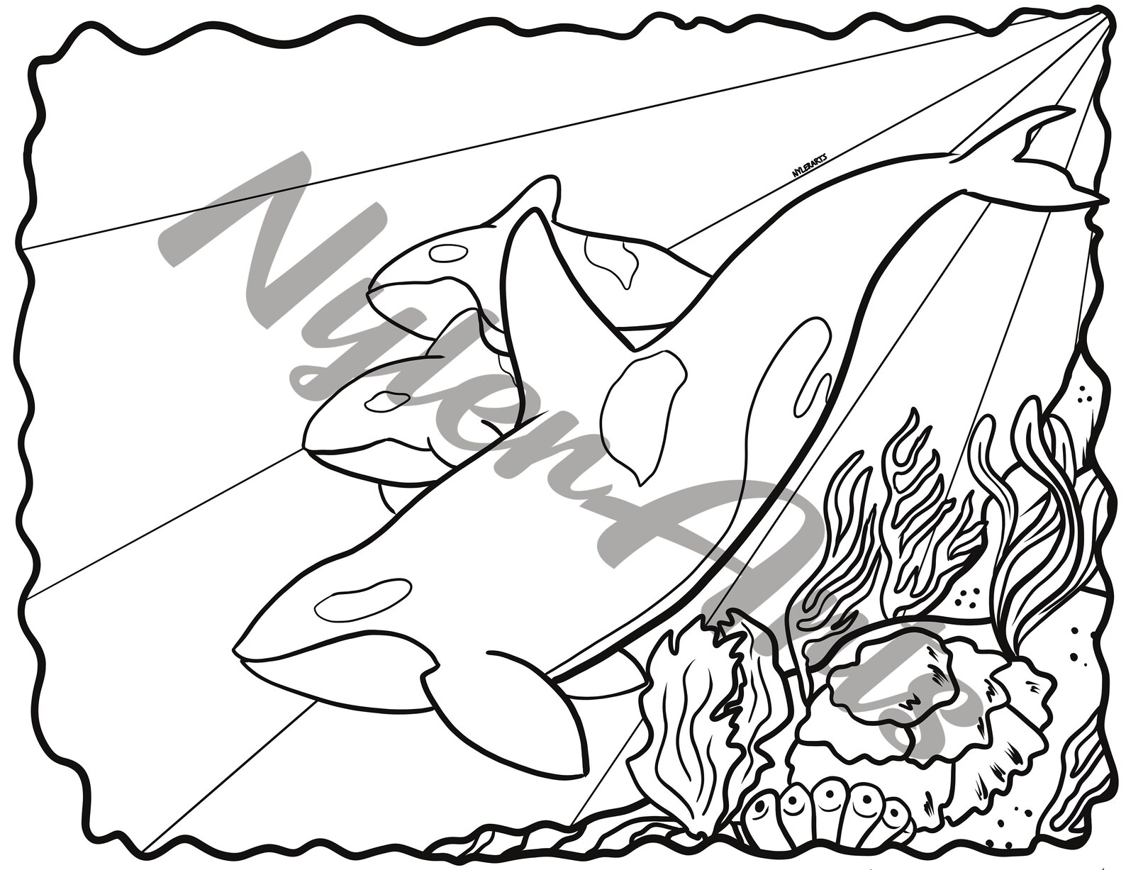 Orca Whale Coloring (colouring) Sheet (page) - Just Download and Print ...