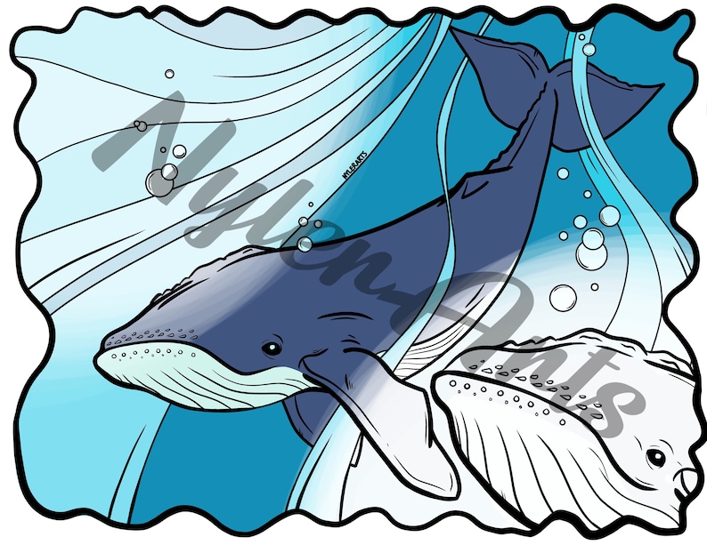 Humpback Whale Coloring (colouring) Sheet (page) - Just Download and ...
