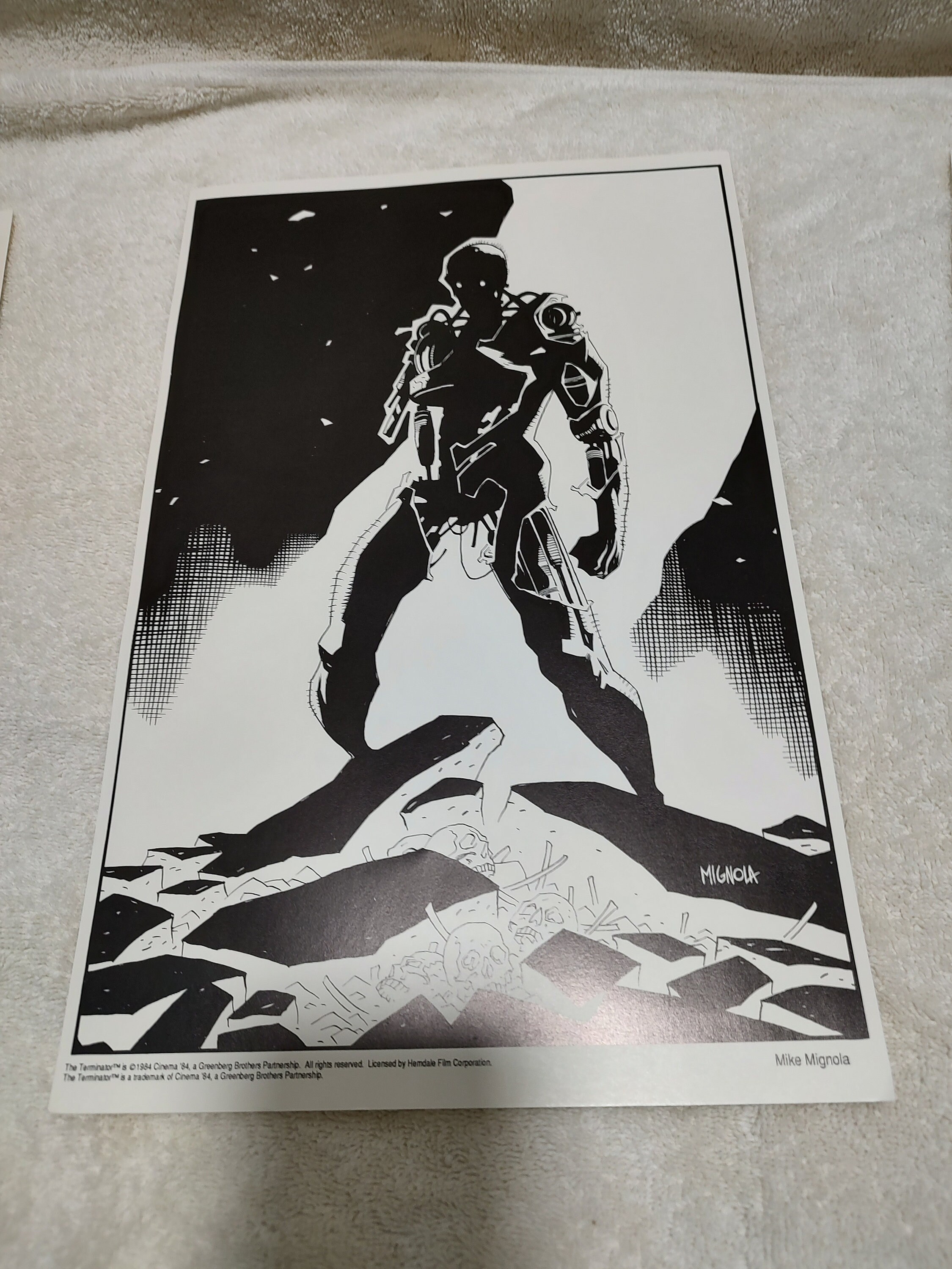 The Terminator Cover Art Plates - Etsy