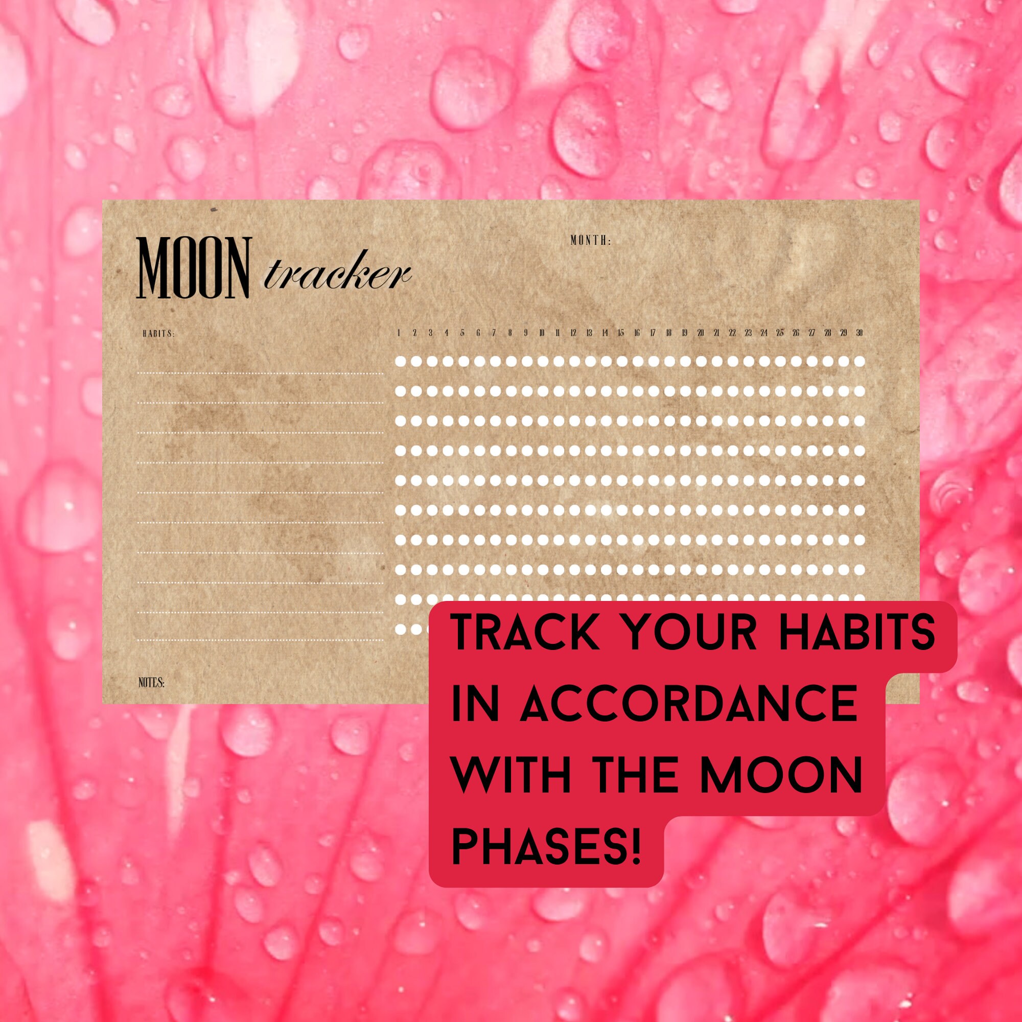 Moon Tracker Grimoire Page Habit Tracker Moon Cycles - Etsy