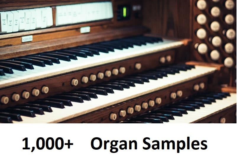 Organ Loops Instrument Samples Hits One Shot Sounds Chords Phrases ...