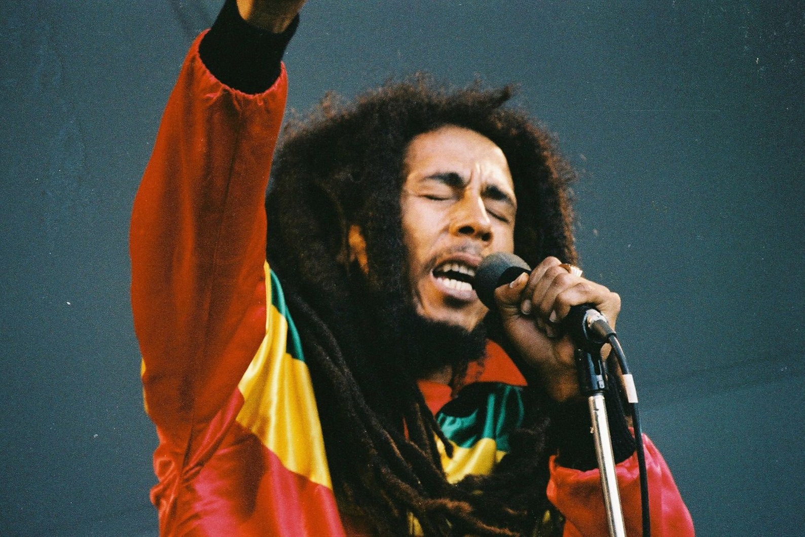 Bob Marley Reggae Samples Loops Drum Sounds Kit Roots Ska Dub Acoustic ...