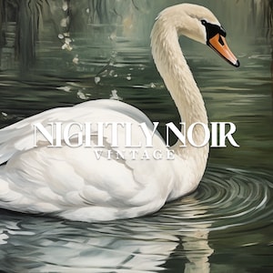 Vintage Swan Oil Painting Baroque Bird Wall Art Classical Swan Painting ...