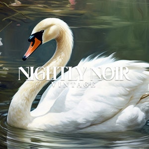Vintage Swan Oil Painting Baroque Bird Wall Art Classical Swan Painting ...