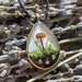 Real Mushroom Teardrop Nature Necklace / Terrarium Resin Pendant ...