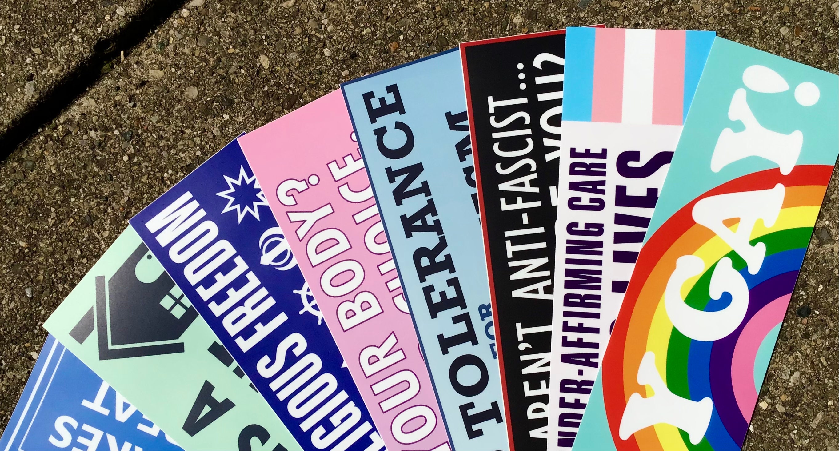 Inclusive Future Bumper Sticker: Weatherproof Vinyl (11.5" X 3") - Etsy
