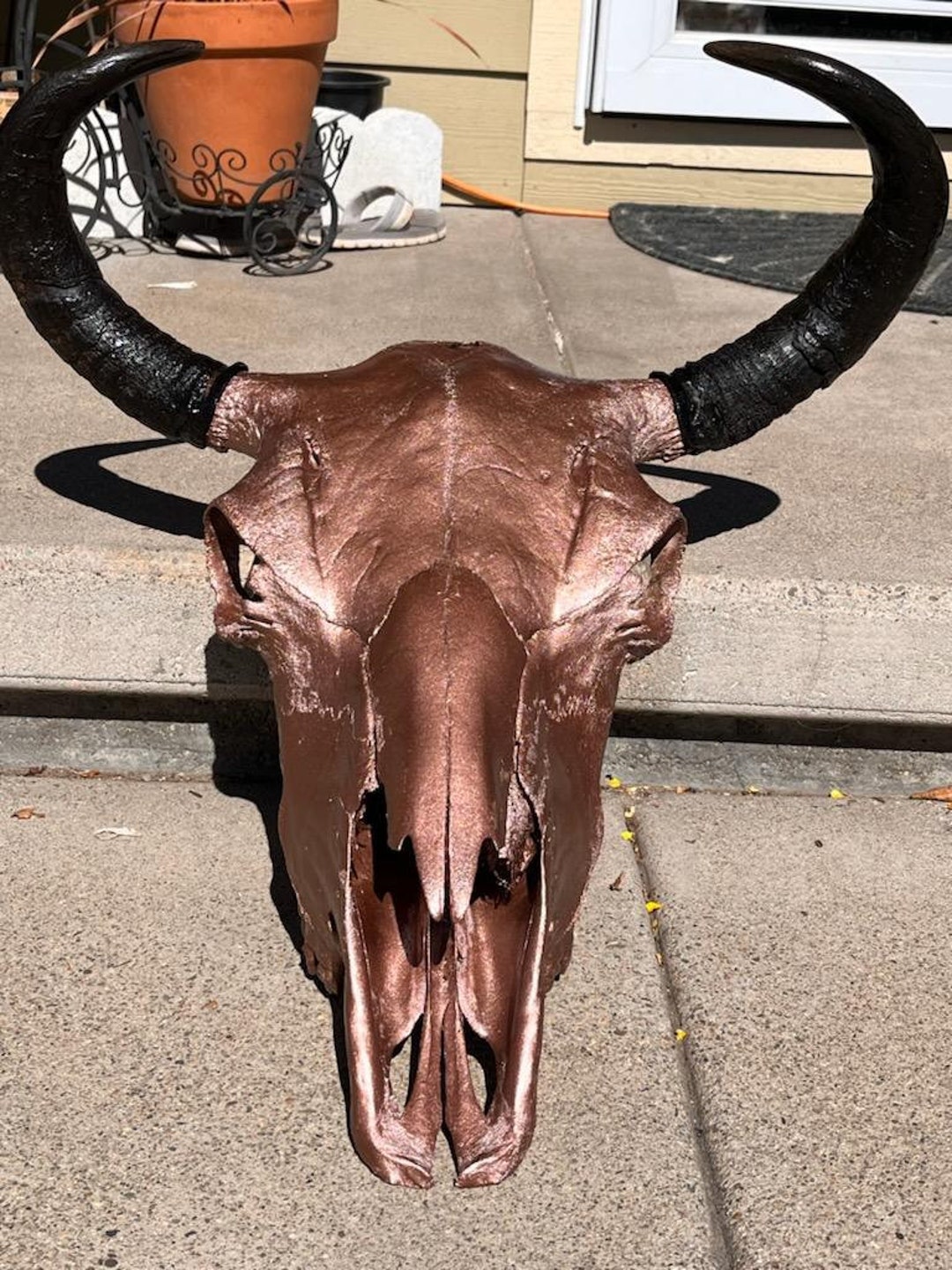 Bison Buffalo Skull Copper Metallic - Etsy