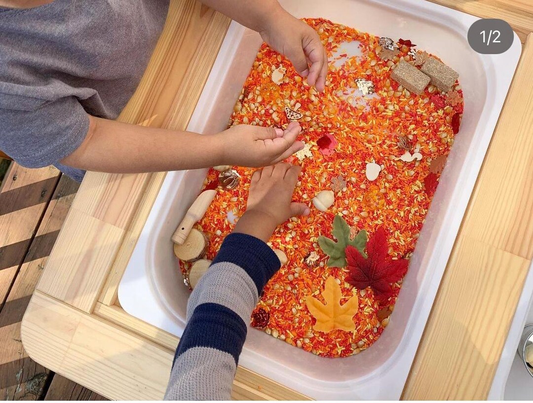 Fall Themed Sensory Filler, Open-ended Play Experiences, Preschool ...